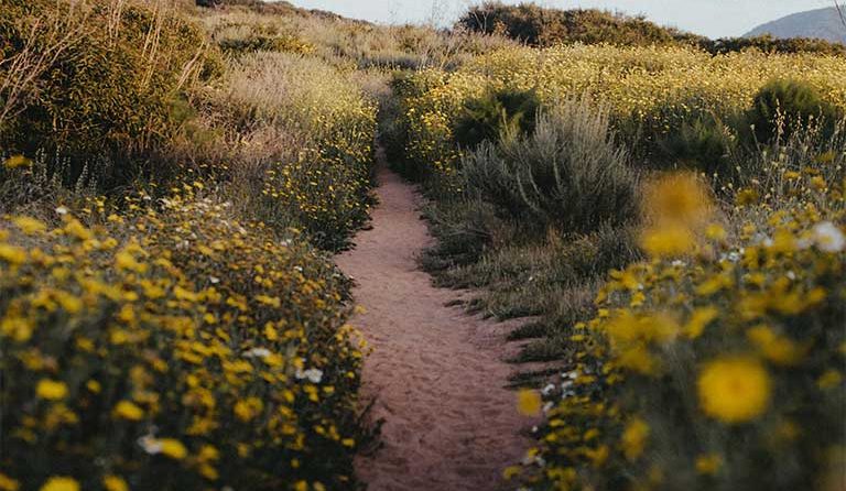 Ian Higgins Counselling in Bromley | Counsellor in Shortlands & Online